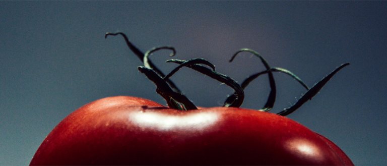 Tijd voor de Pomodoro! - Academy of Minds Tijd voor de Pomodoro! - Academy of Minds